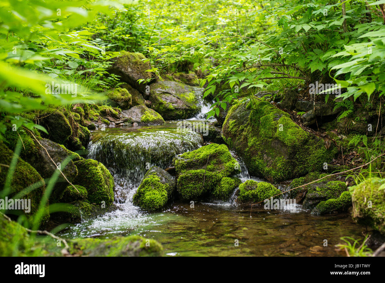 Landscapebackground hi-res stock photography and images - Alamy