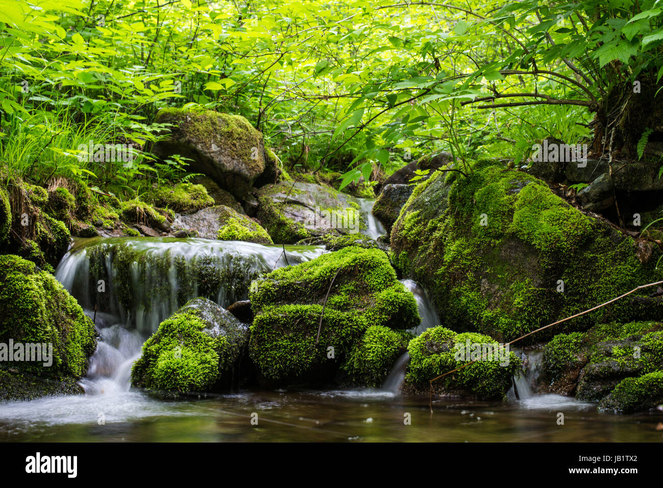 Waterfall landscape river Stock Photo - Alamy