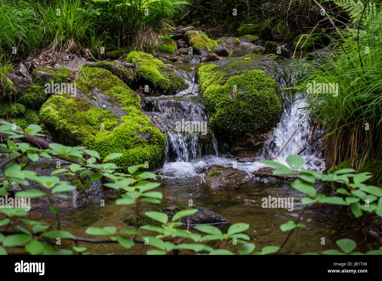 Landscapebackground hi-res stock photography and images - Alamy