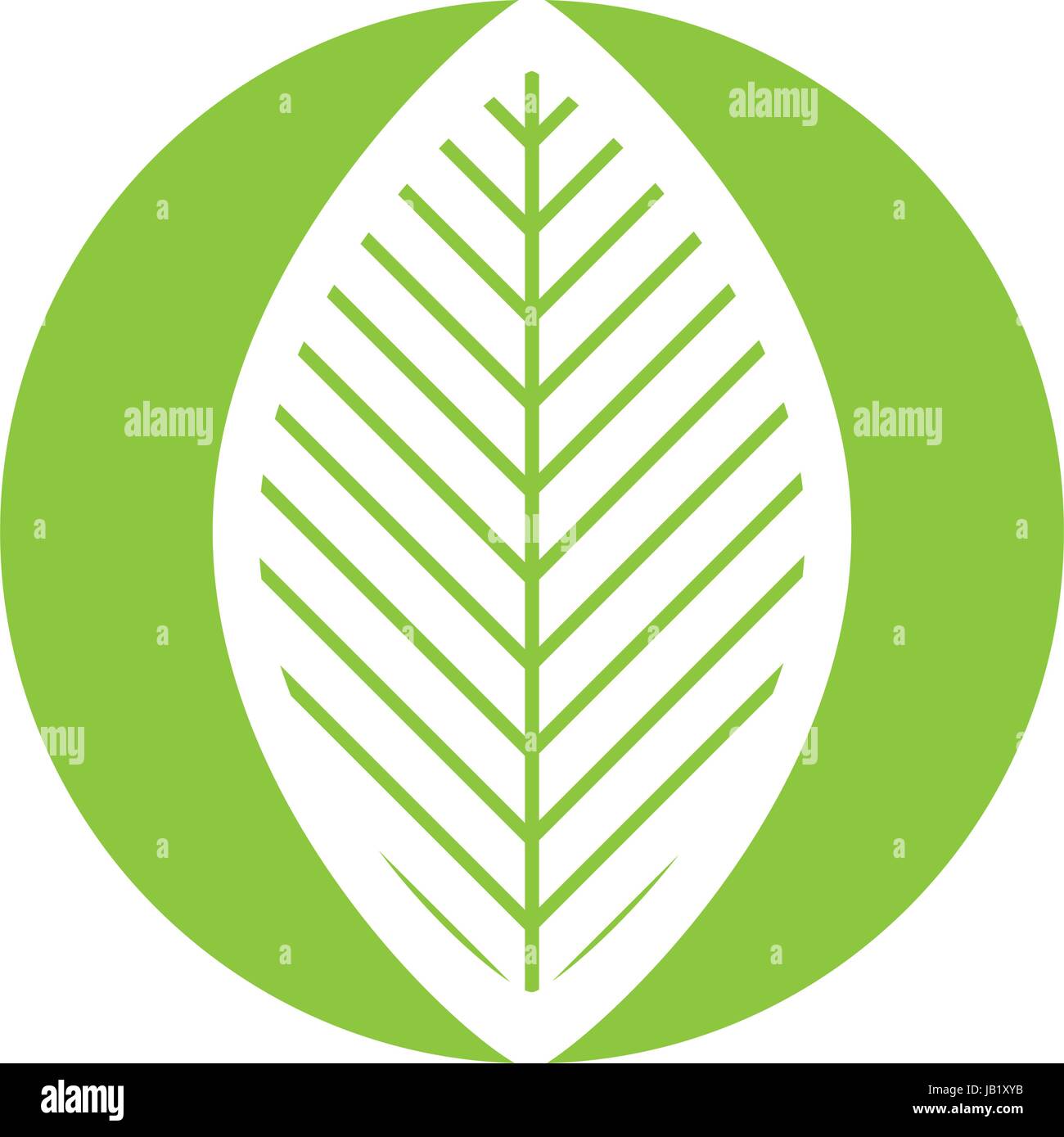 leaf plant isolated icon Stock Vector Image & Art - Alamy