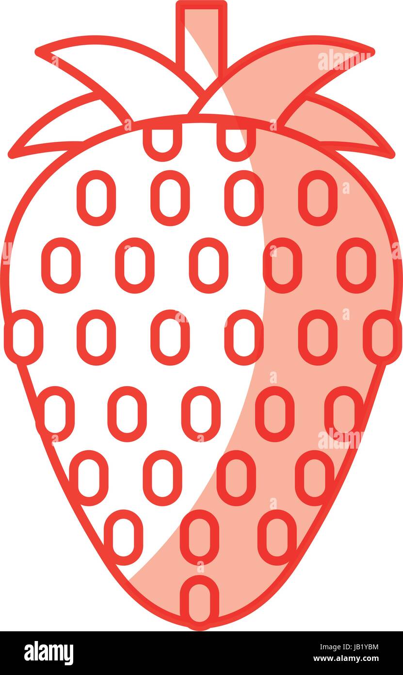 strawberry fresh fruit isolated icon Stock Vector Image & Art - Alamy