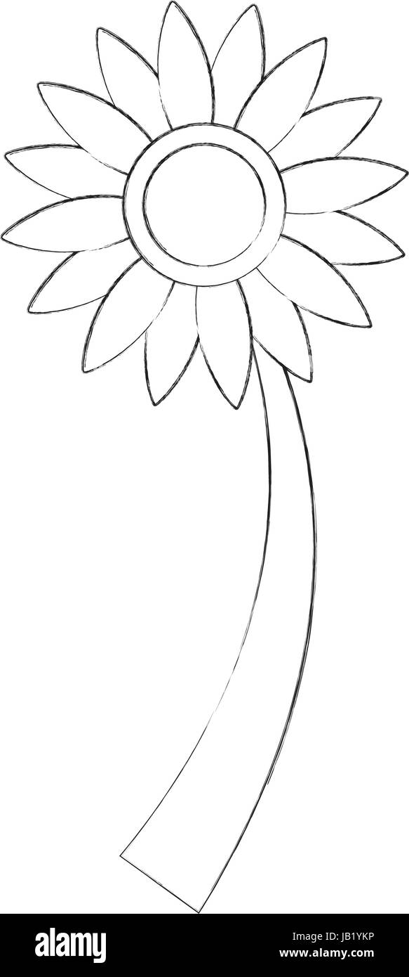 Sunflower frame vector flower Black and White Stock Photos & Images - Alamy