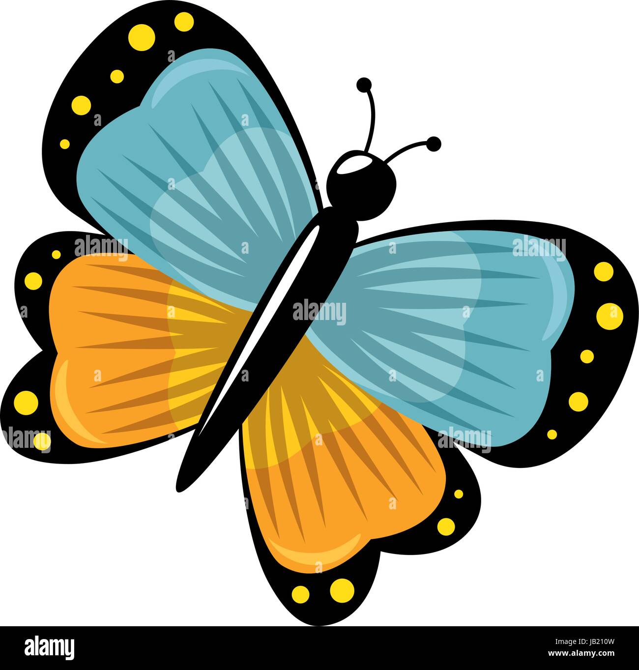 beautiful butterfly icon Stock Vector Image & Art - Alamy