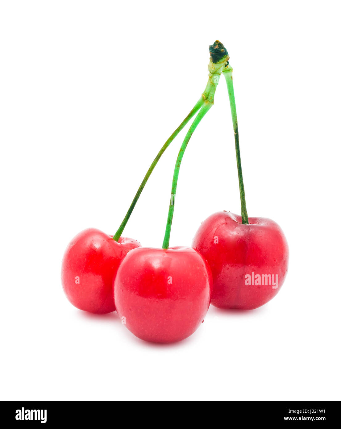 Beautiful red cherry isolated on white background Stock Photo - Alamy