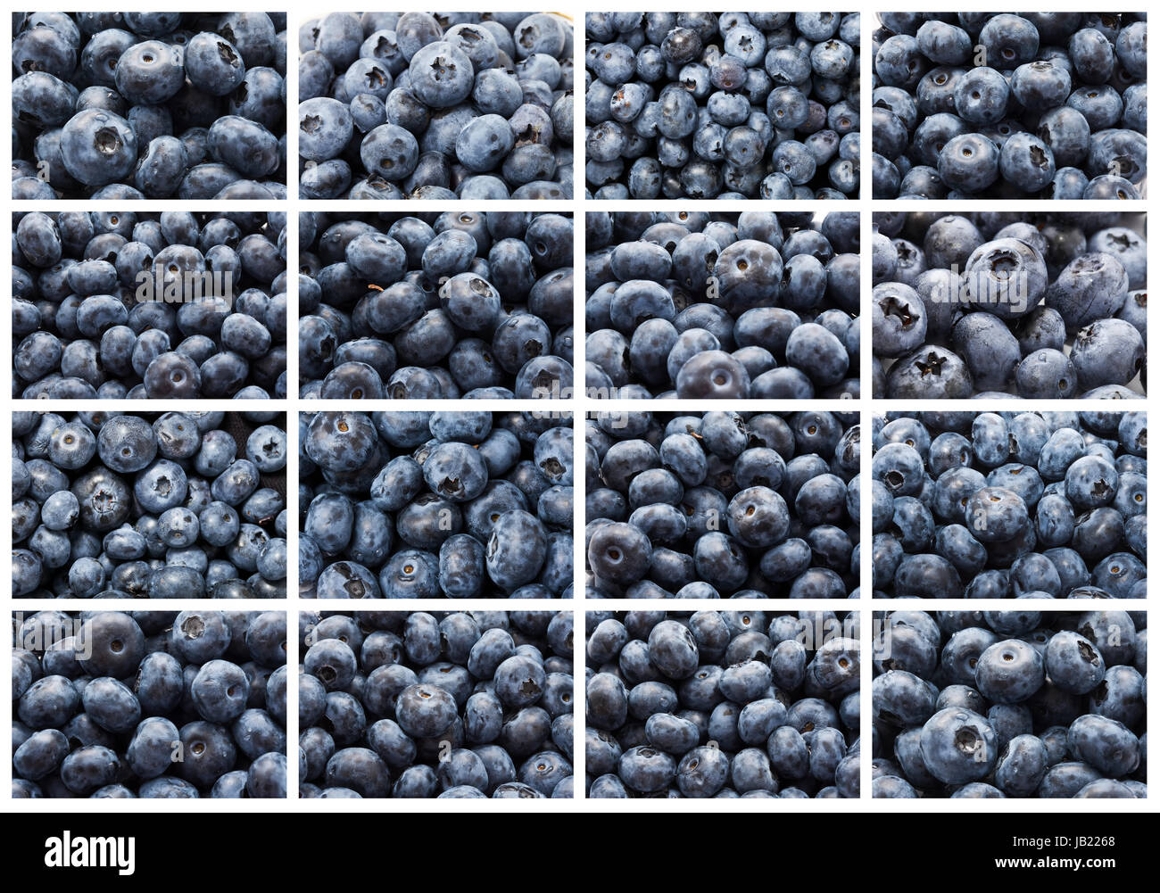 Collection of backgrounds made of freshly picked blueberries Stock ...