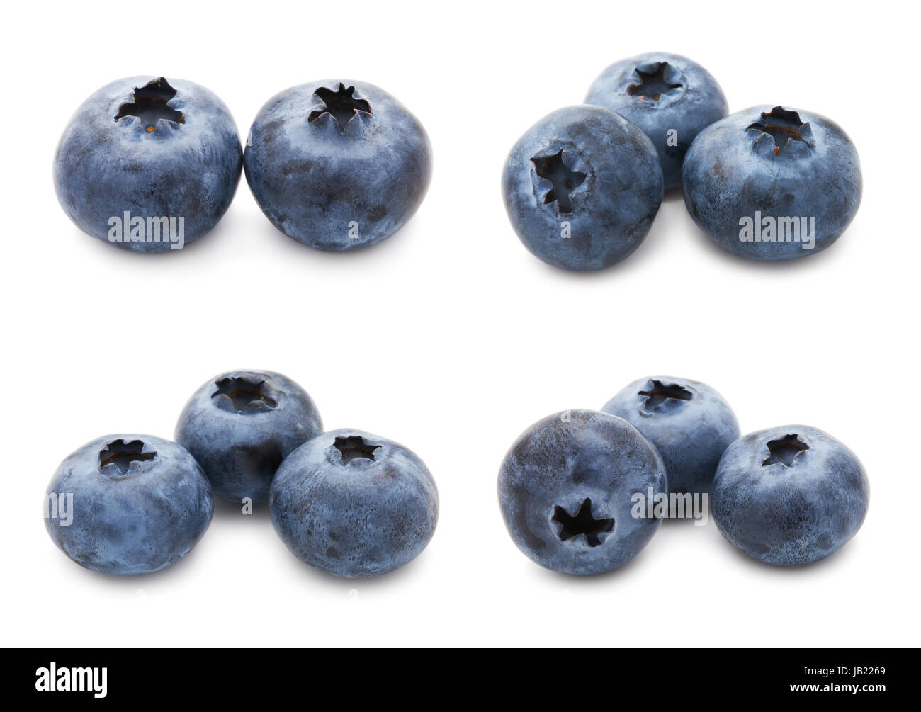 Collection of fresh blueberry or bilberry isolated on white background ...