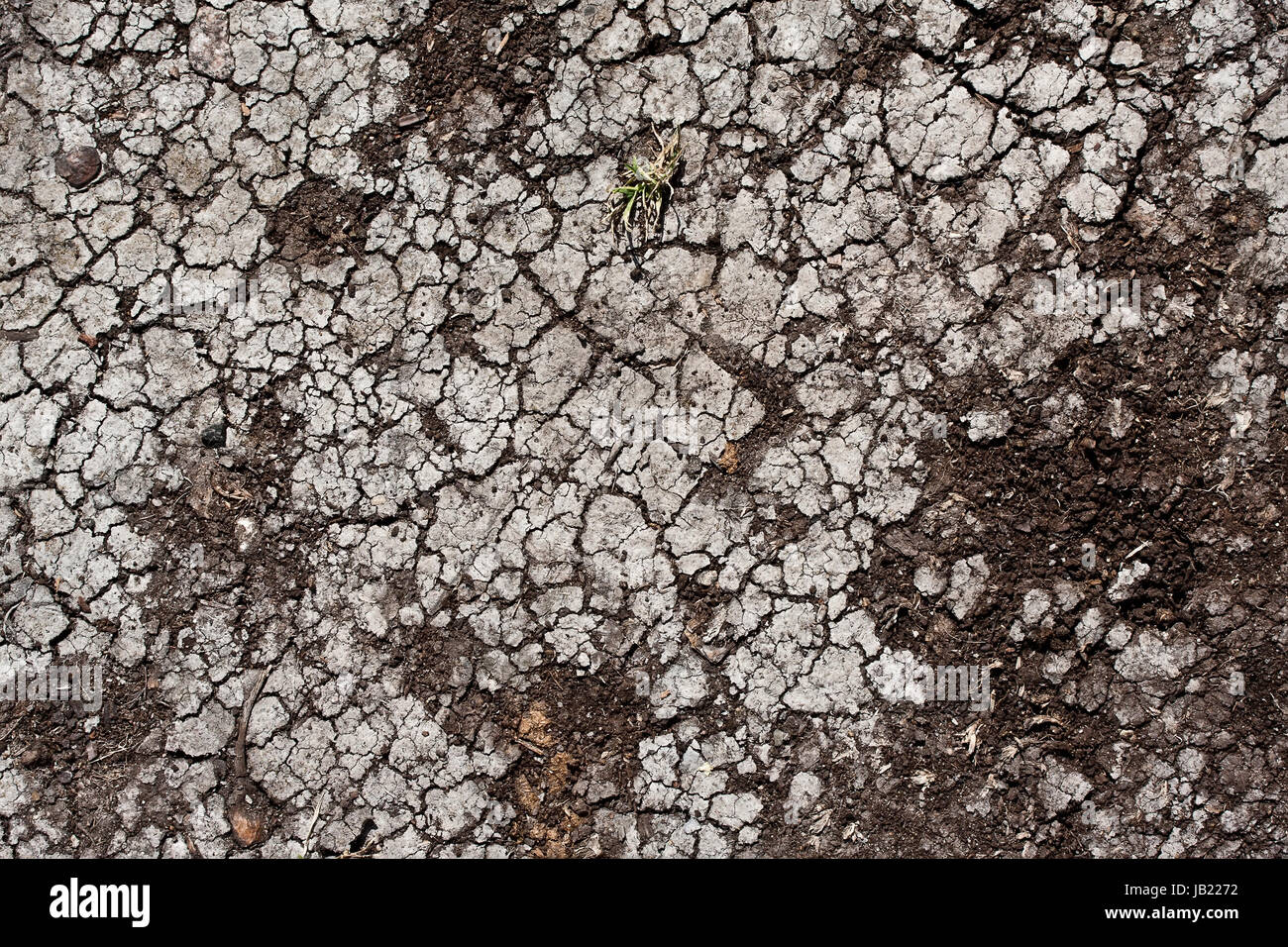 Land with dry cracked ground texture background Stock Photo - Alamy