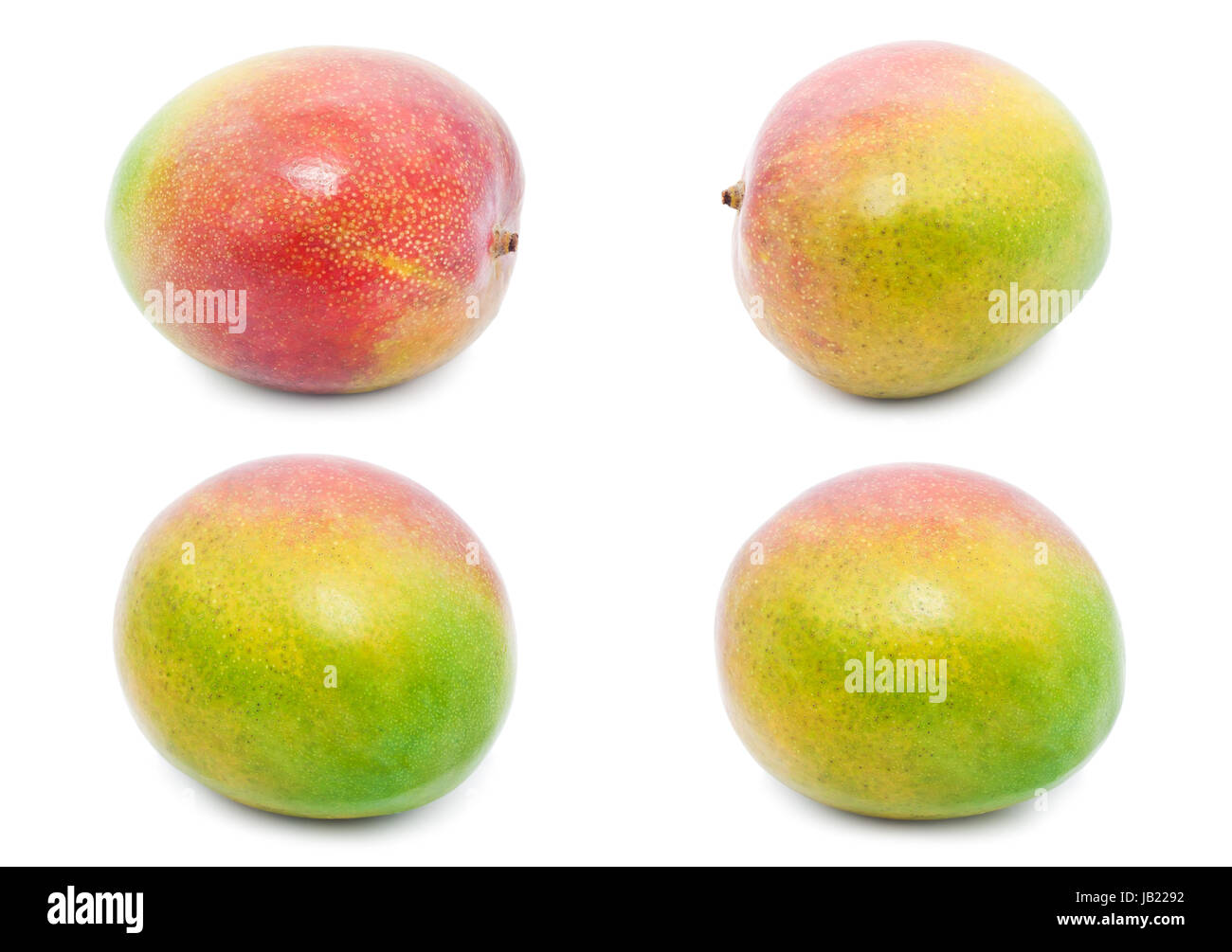 Collection of fresh juicy Mango fruit isolated on white background ...