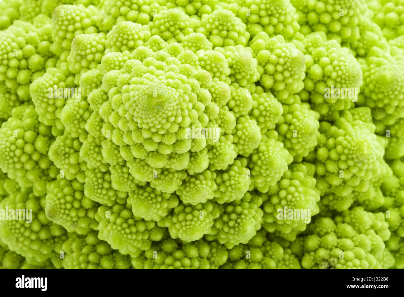 Green Romanesco broccoli isolated on white background Stock Photo - Alamy