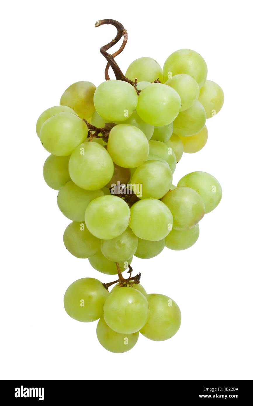 Branch of grapes isolated on white background Stock Photo - Alamy