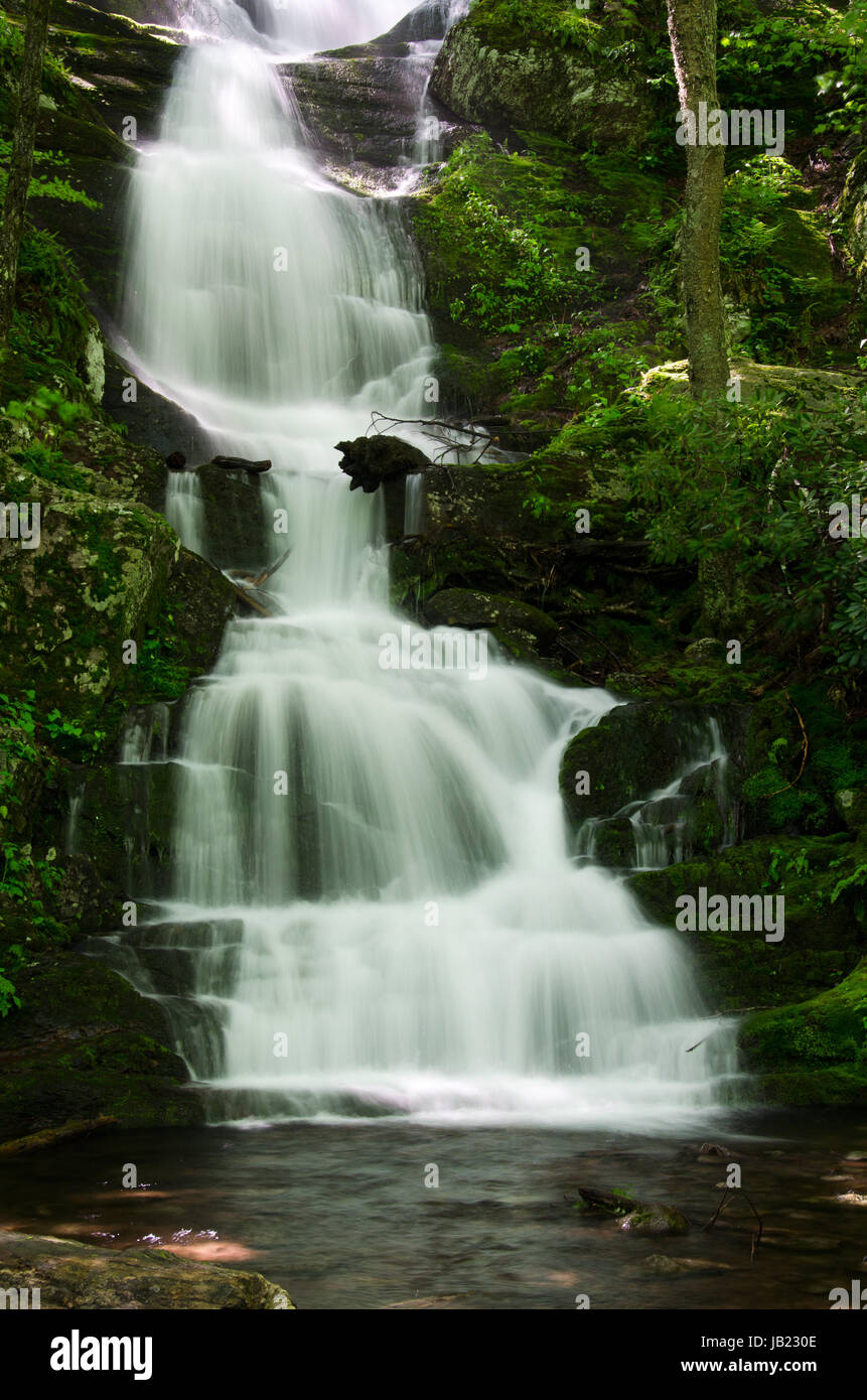 Waterfall in the Forest Stock Photo - Alamy