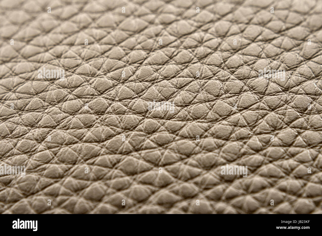 Animal skin Texture of the close up Stock Photo - Alamy