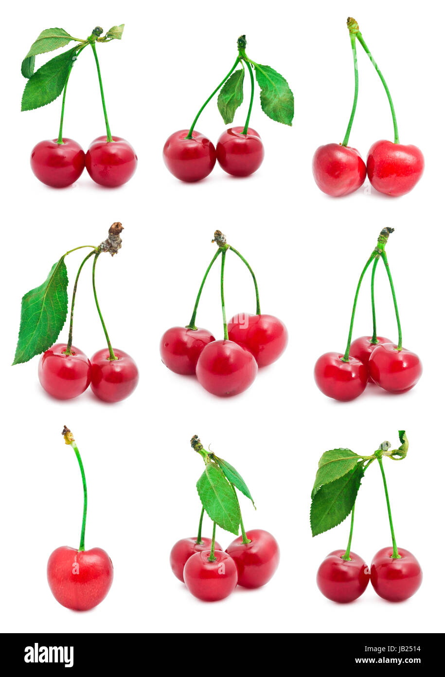 Collection of beautiful red cherry isolated on white background Stock ...