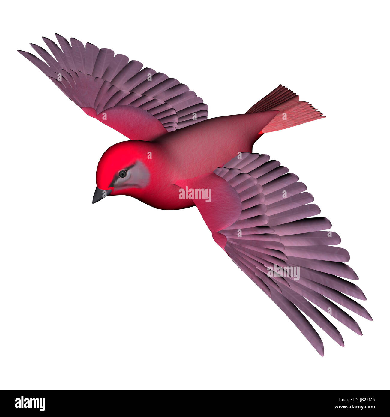 3d digital render of a flying songbird tanager isolated on white ...