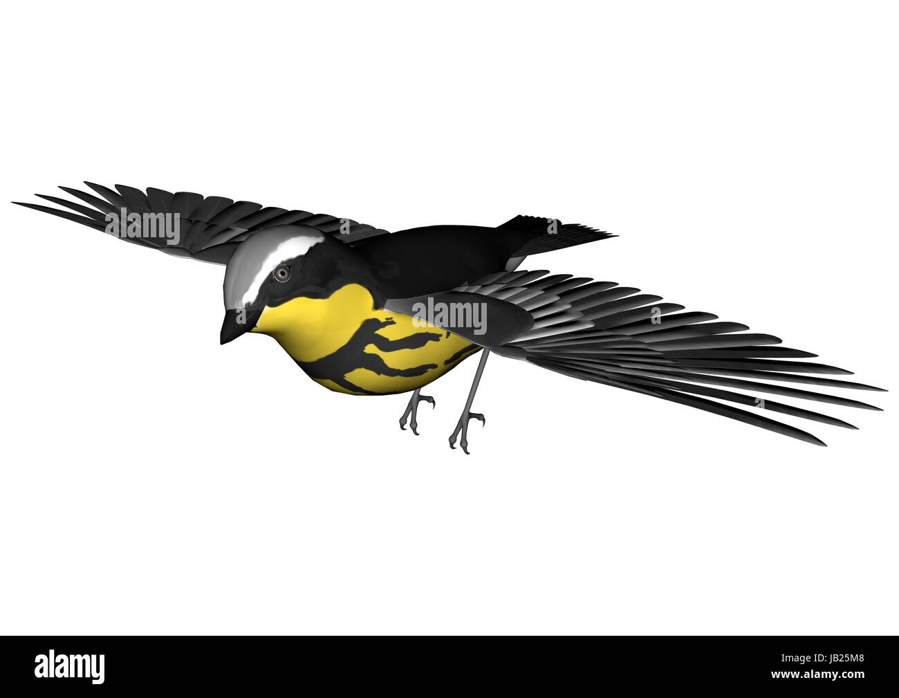 Songbird Silhouette Flying