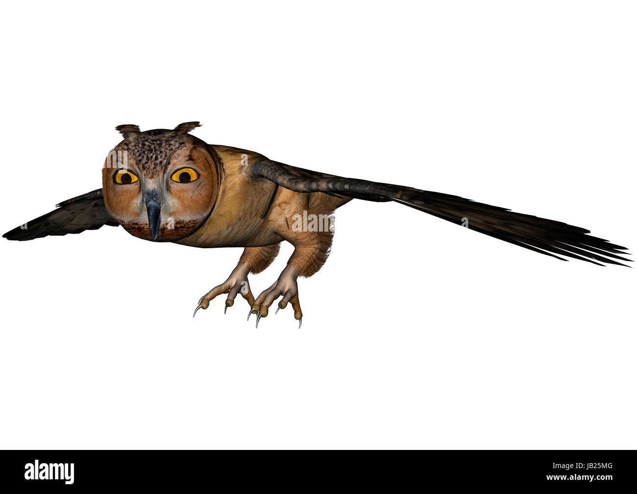3D digital render of a flying night owl isolated on white background ...