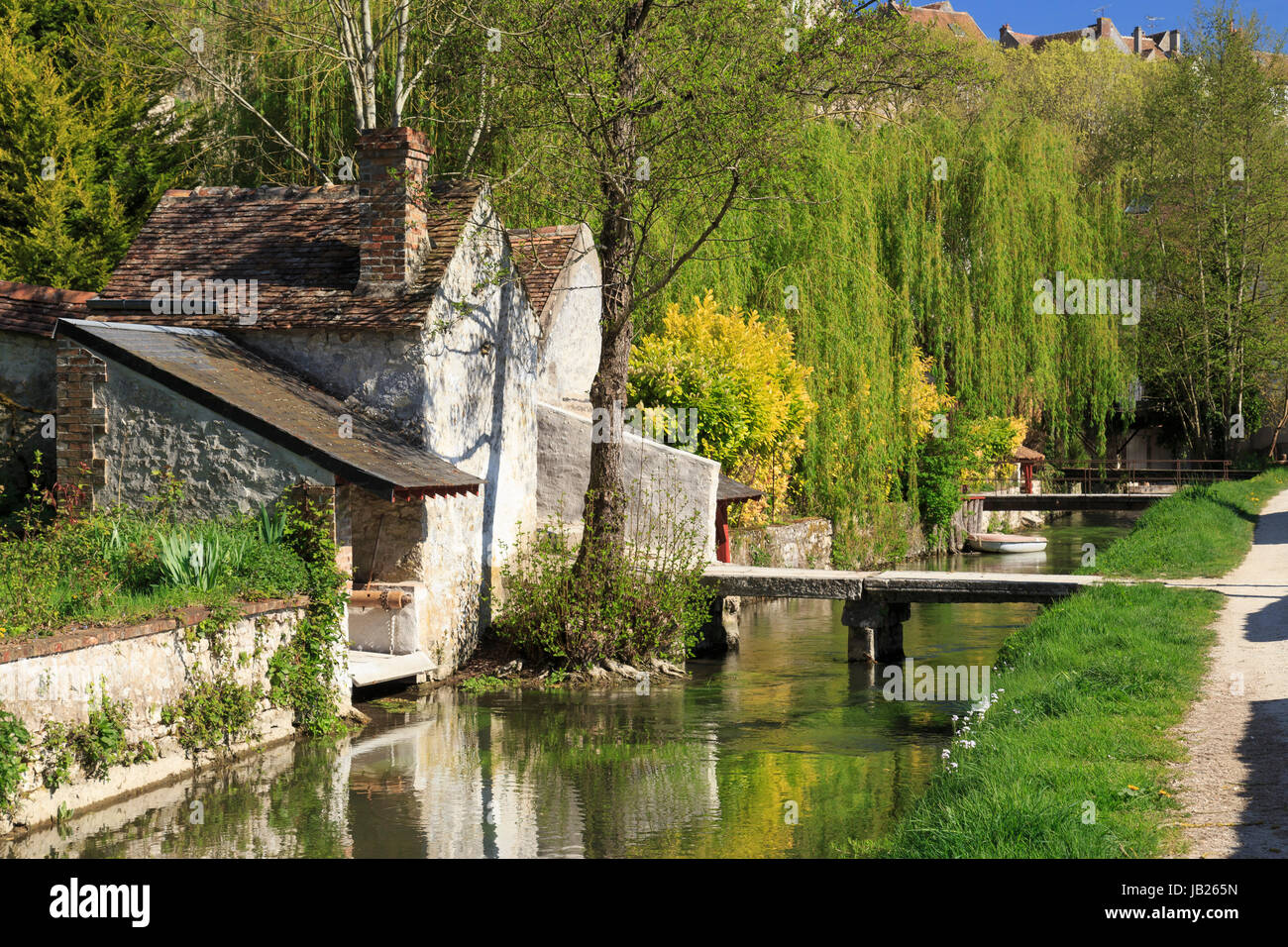 France, Seine-et-Marne (77) , Château-Landon, la rivière le Fusain ...