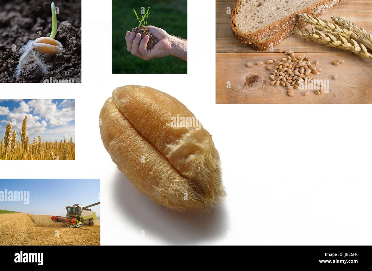 Wheat symbolism hi-res stock photography and images - Alamy