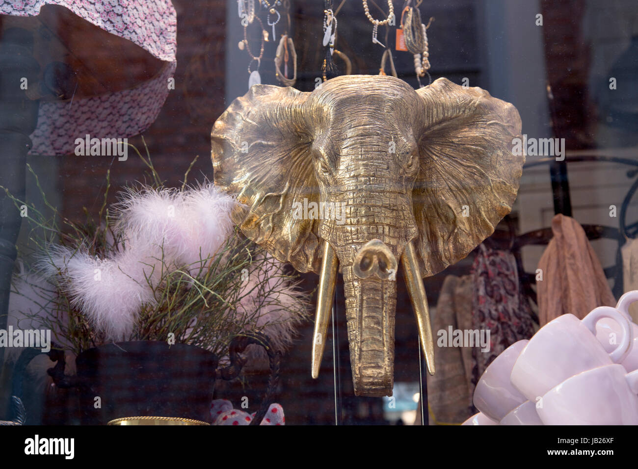 Elephant Head in Shop Window, Old Town; Gamla Stan; Stockholm; Sweden ...