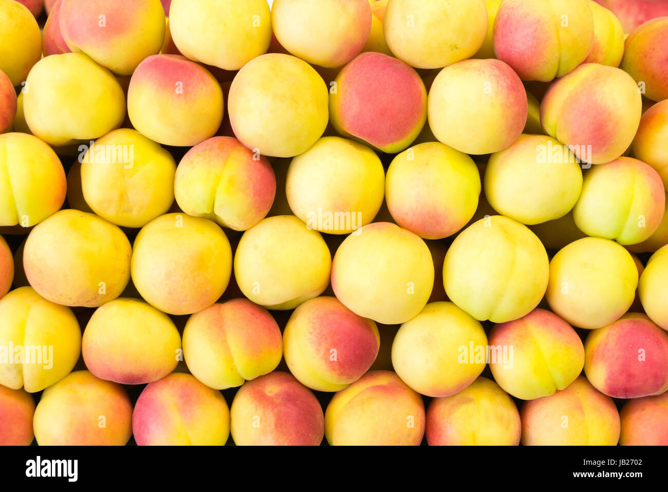 Fruits line art collection hi-res stock photography and images - Alamy
