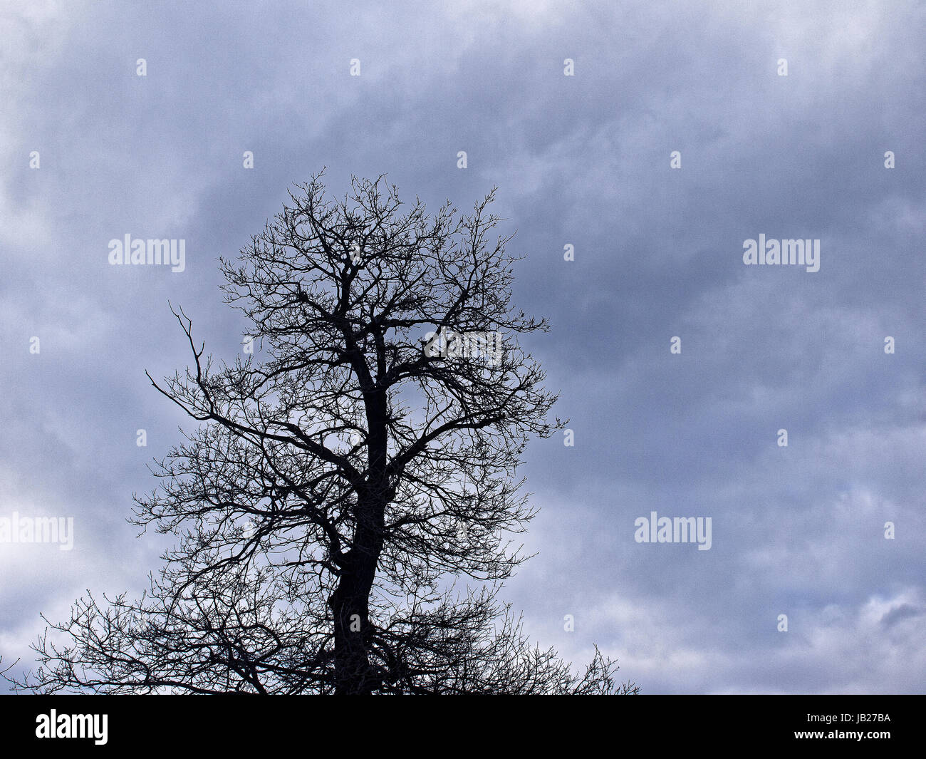 Stormy spring hi-res stock photography and images - Alamy