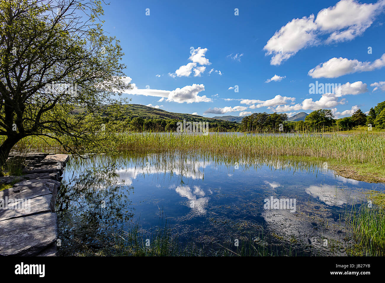 View across Coniston Water from High Nibthwaite Stock Photo - Alamy