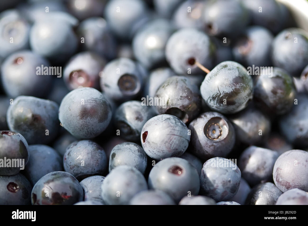 Bilberries extreme close up, macro photo Stock Photo - Alamy