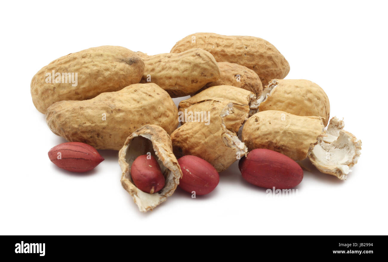 Peanut in shell isolated on white background Stock Photo - Alamy