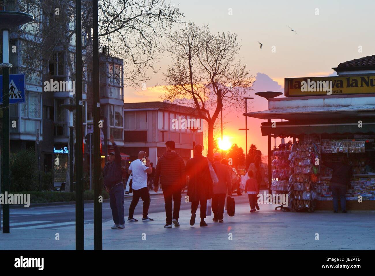 The main shopping street of the island Lido, Gran Viale Santa Maria ...
