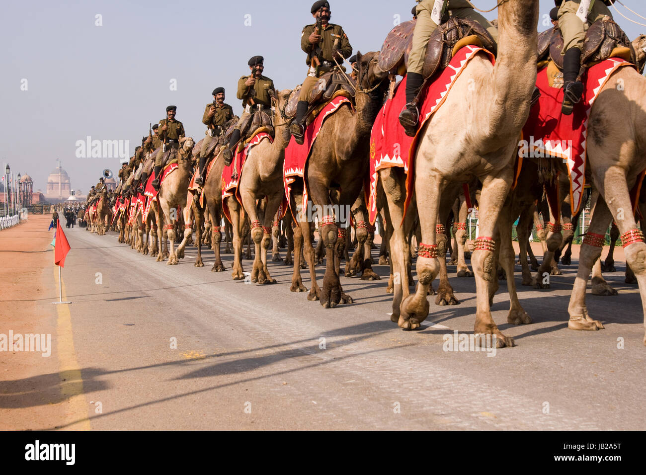 Camel Corps of the Indian Border Security Force parading down the Raj ...