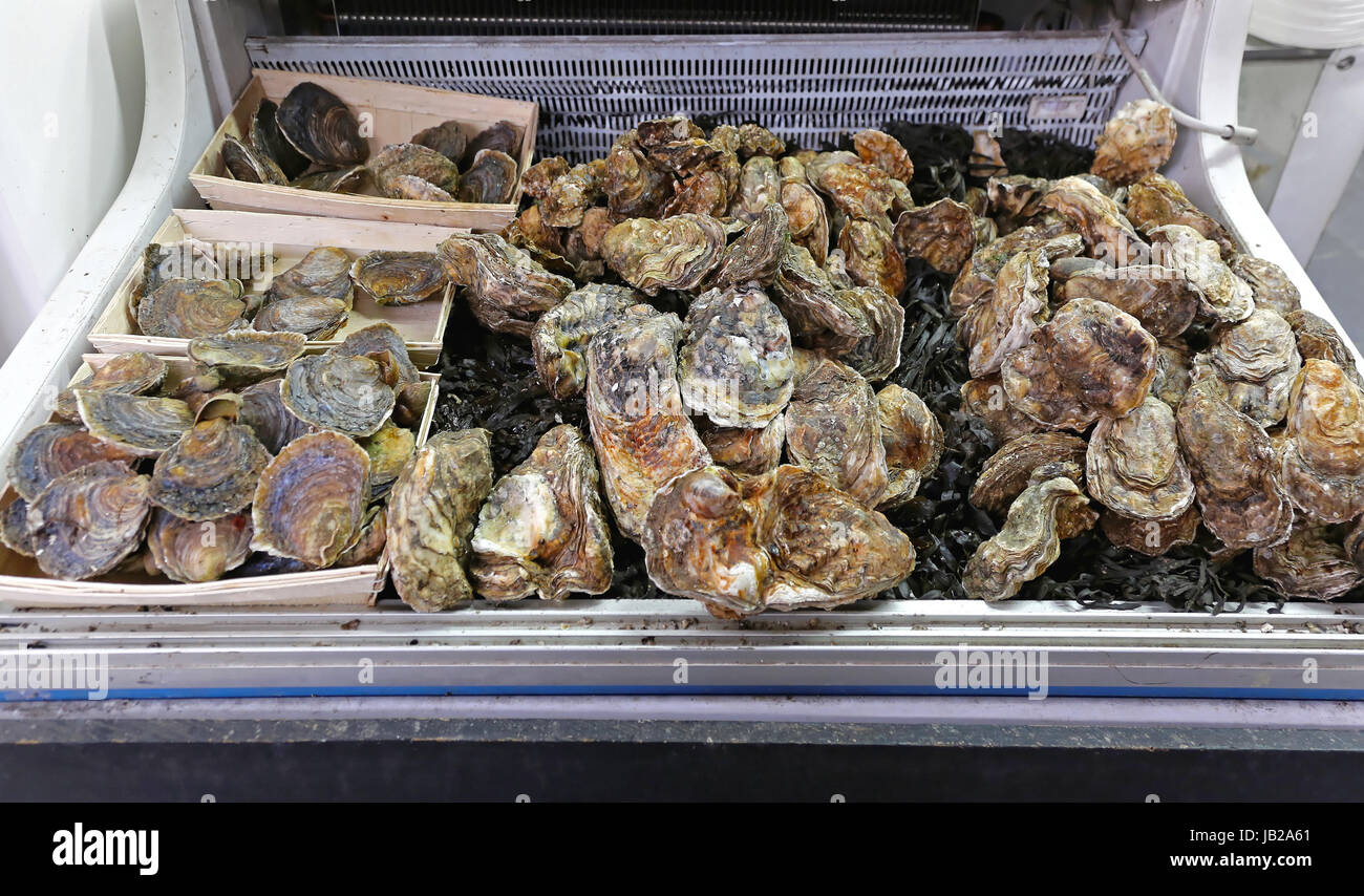 Native seasonal oyster clams at market Stock Photo - Alamy