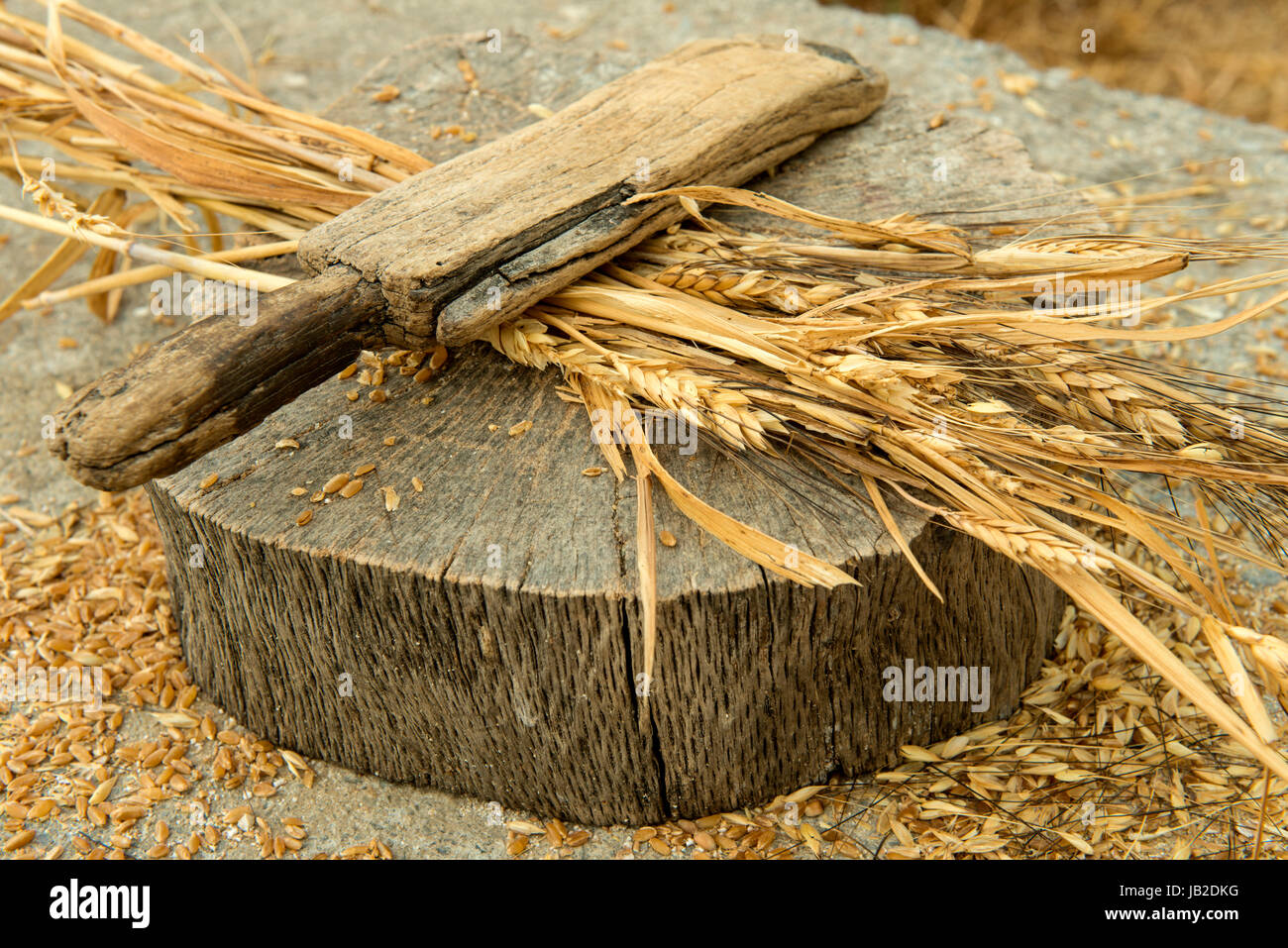 The ancient home tool which our ancestors was used for wheat peeling ...