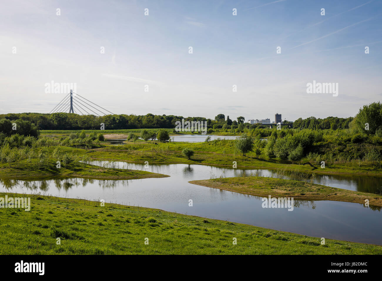 Wetland habitat germany hi-res stock photography and images - Alamy