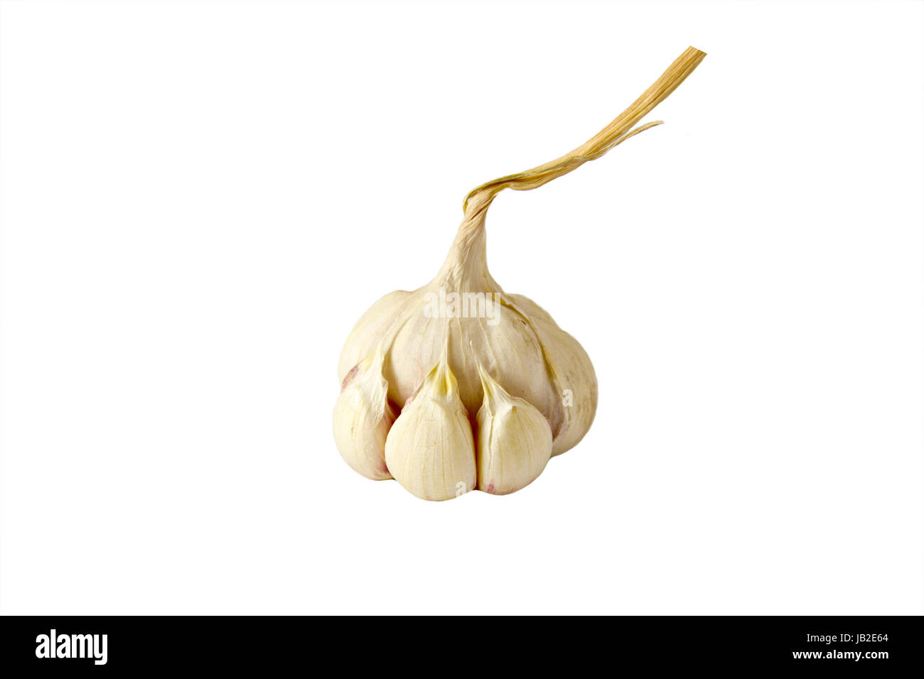 bulb of garlic isolated on white background Stock Photo - Alamy