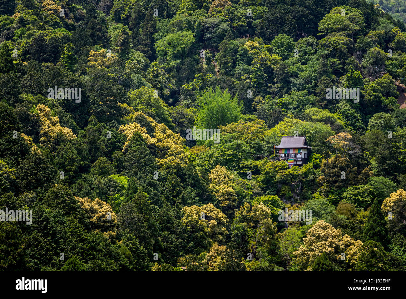 Respect the forest hi-res stock photography and images - Alamy