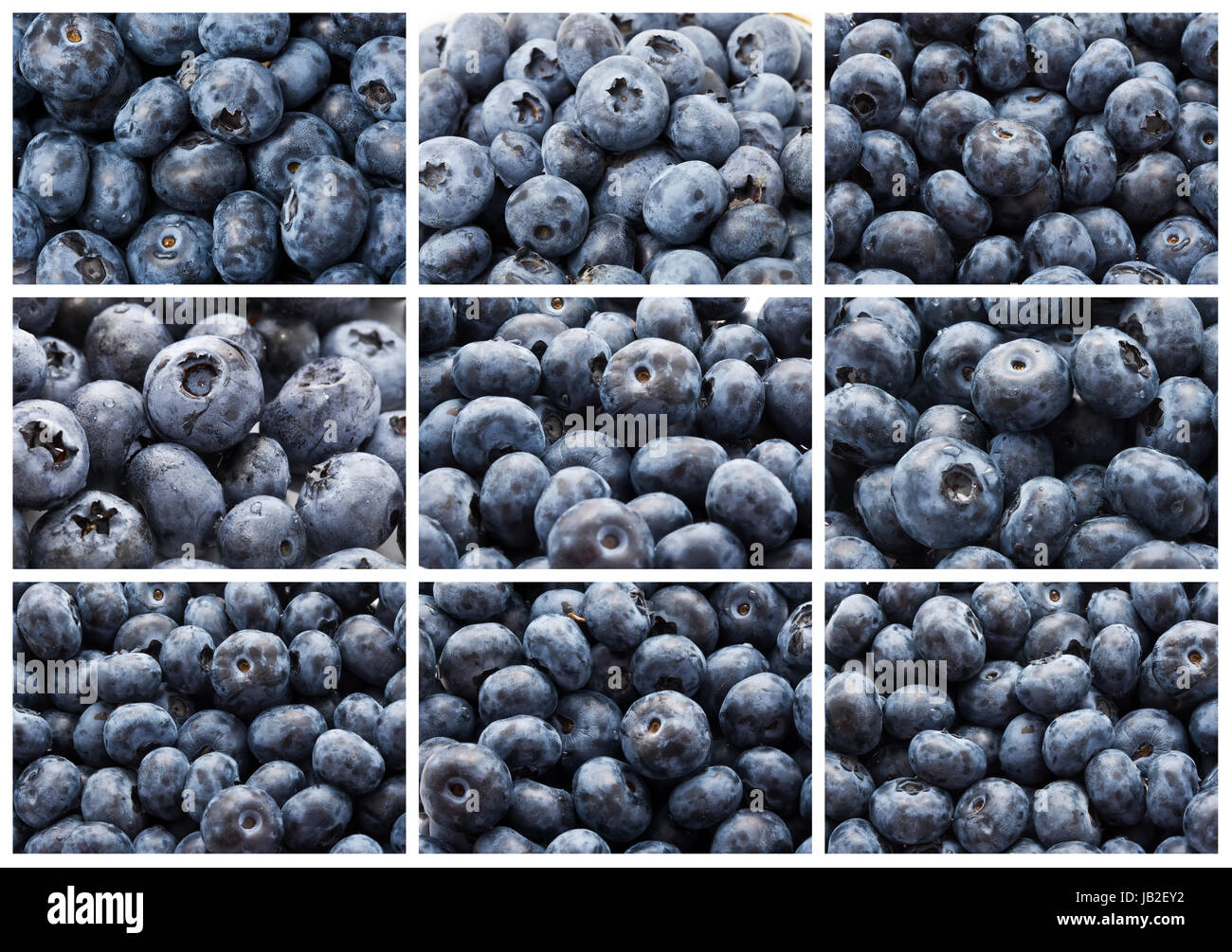 Collection of backgrounds made of freshly picked blueberries Stock ...