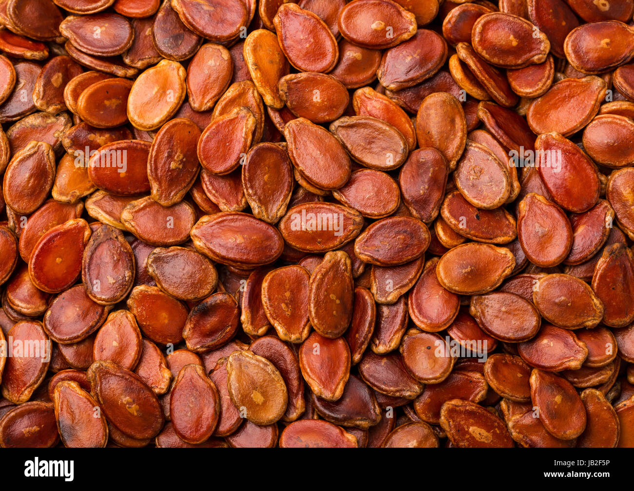 Red watermelon seeds Stock Photo - Alamy