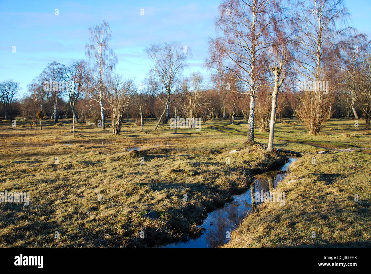 Ditch and a country road in a rural landscape in Sweden Stock Photo - Alamy