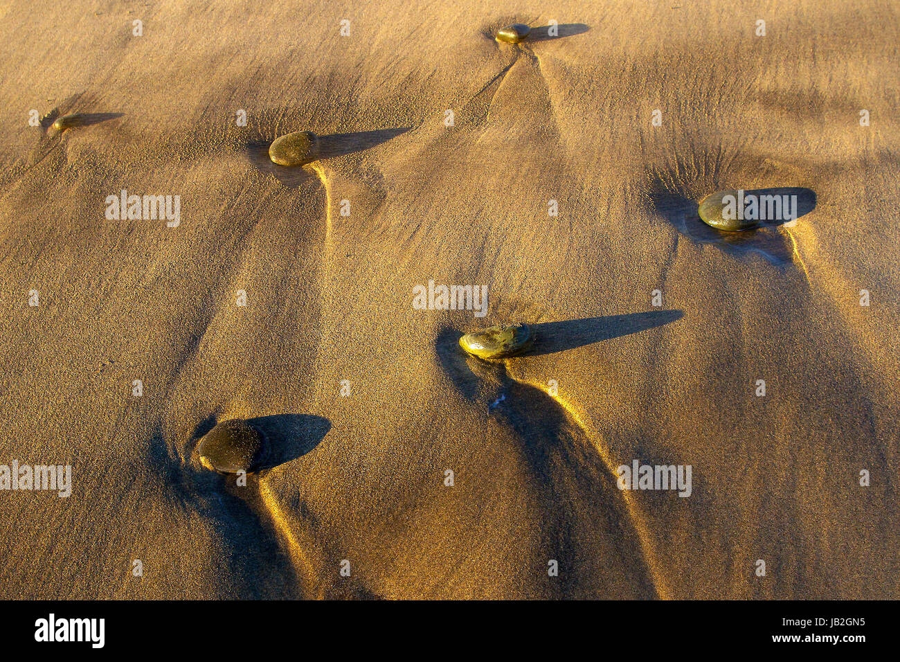 Monochrome_birds hi-res stock photography and images - Alamy