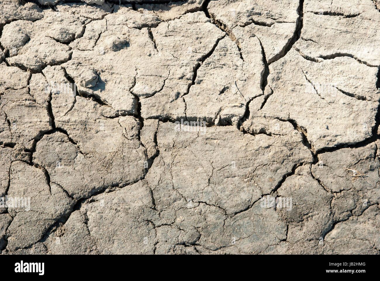 Dry cracked land texture Stock Photo - Alamy Dry cracked land texture Stock Photo - Alamy