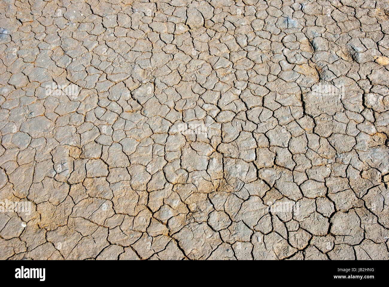 Dry cracked land texture Stock Photo - Alamy