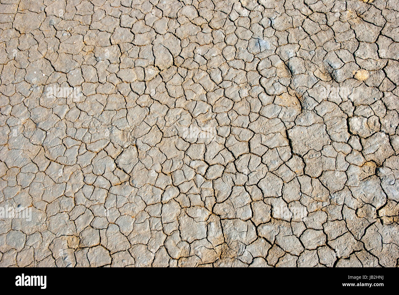 Dry cracked land texture Stock Photo - Alamy
