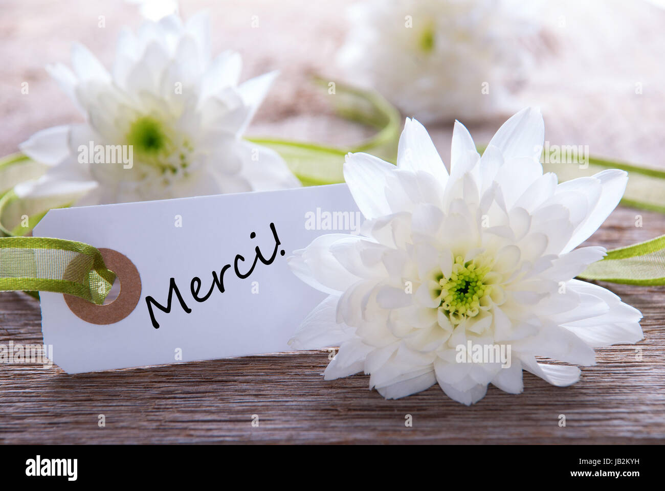 A Blossom Background with the French Word Merci which Means Thanks ...