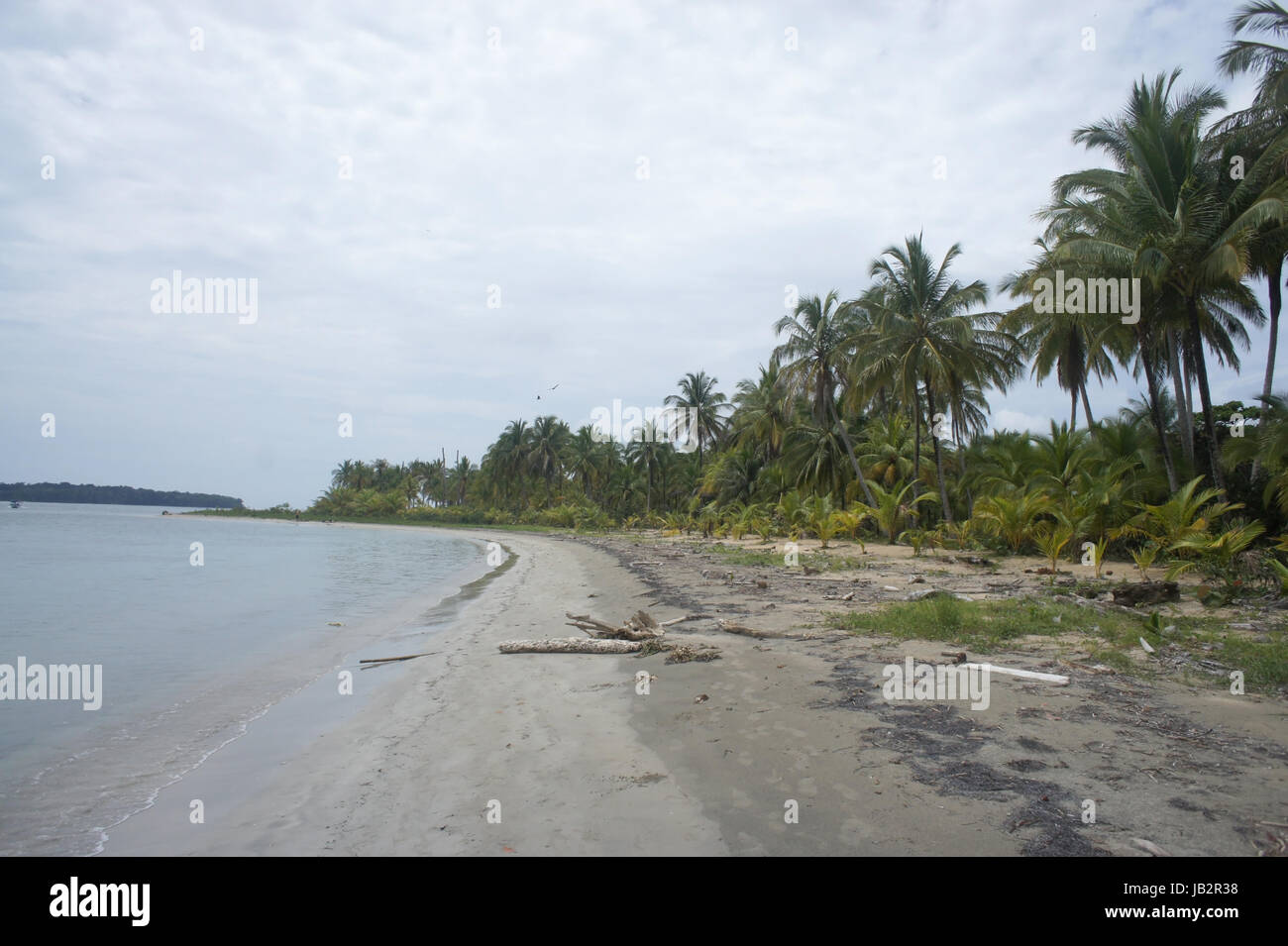 summer in lovely green costa rica Stock Photo - Alamy