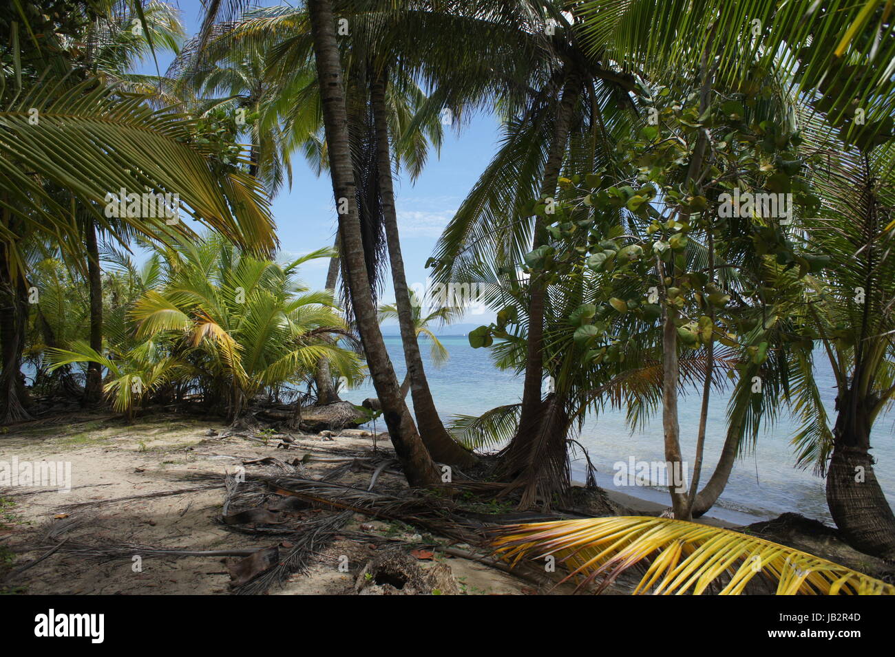 summer in lovely green costa rica Stock Photo - Alamy