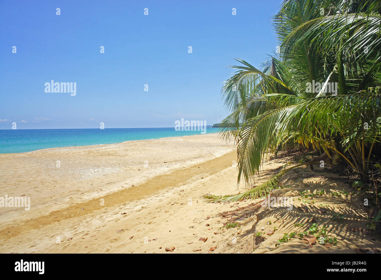 summer in lovely green costa rica Stock Photo - Alamy