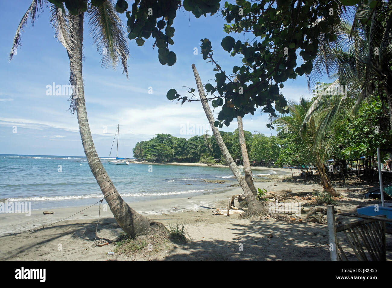 summer in lovely green costa rica Stock Photo - Alamy