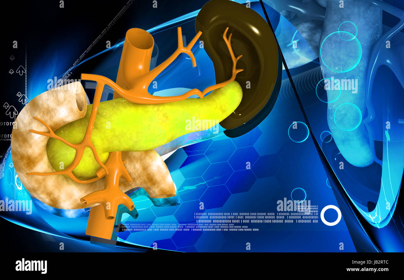 Medical dissection human body hi-res stock photography and images - Alamy