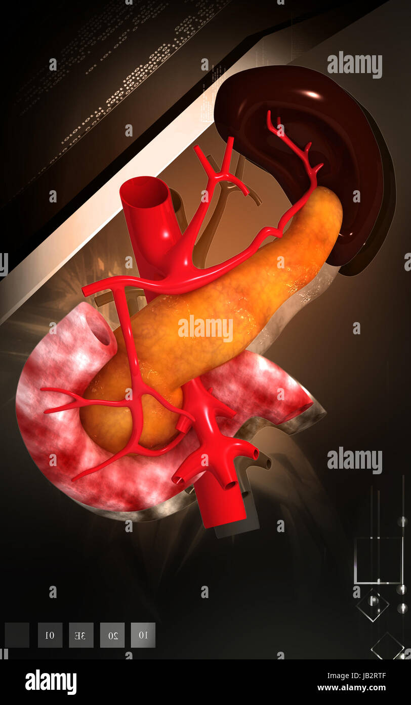 3d human dissection hi-res stock photography and images - Alamy