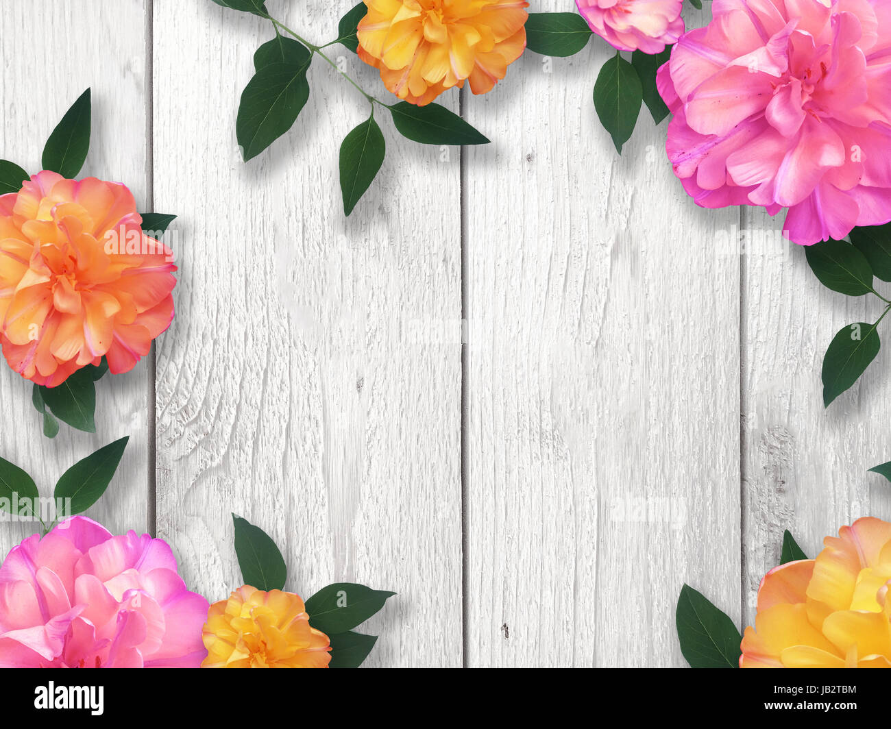 Colorful Flower Border Stock Photo - Alamy